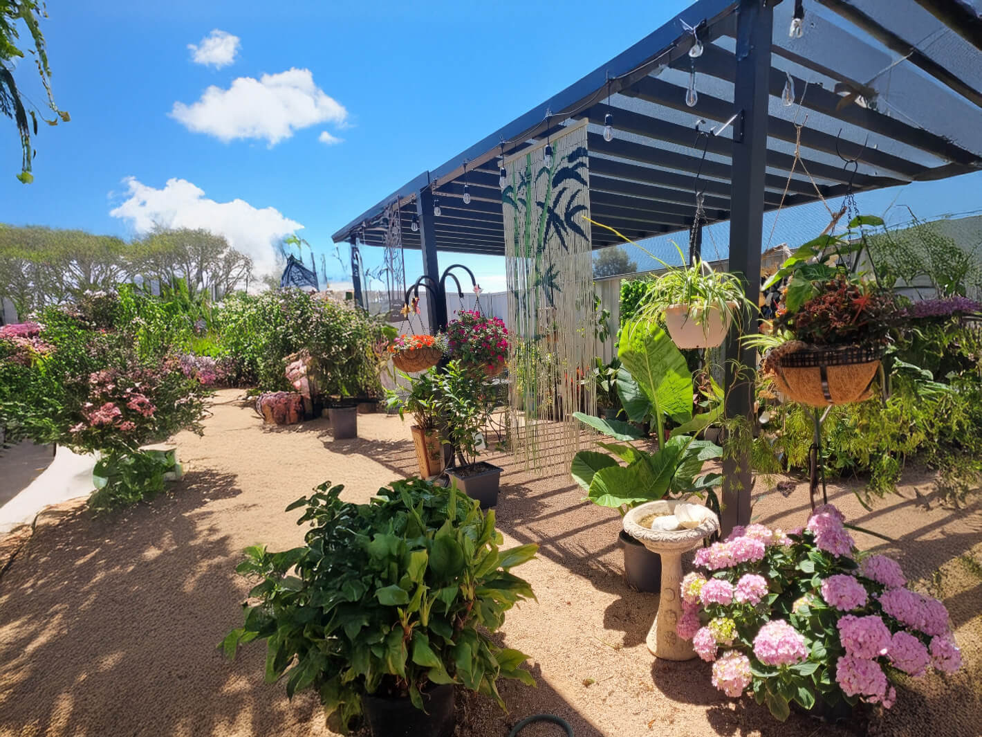 OUTMOS Pergola Kits Gallery | OUTMOS Pergola – Outmos Pergola